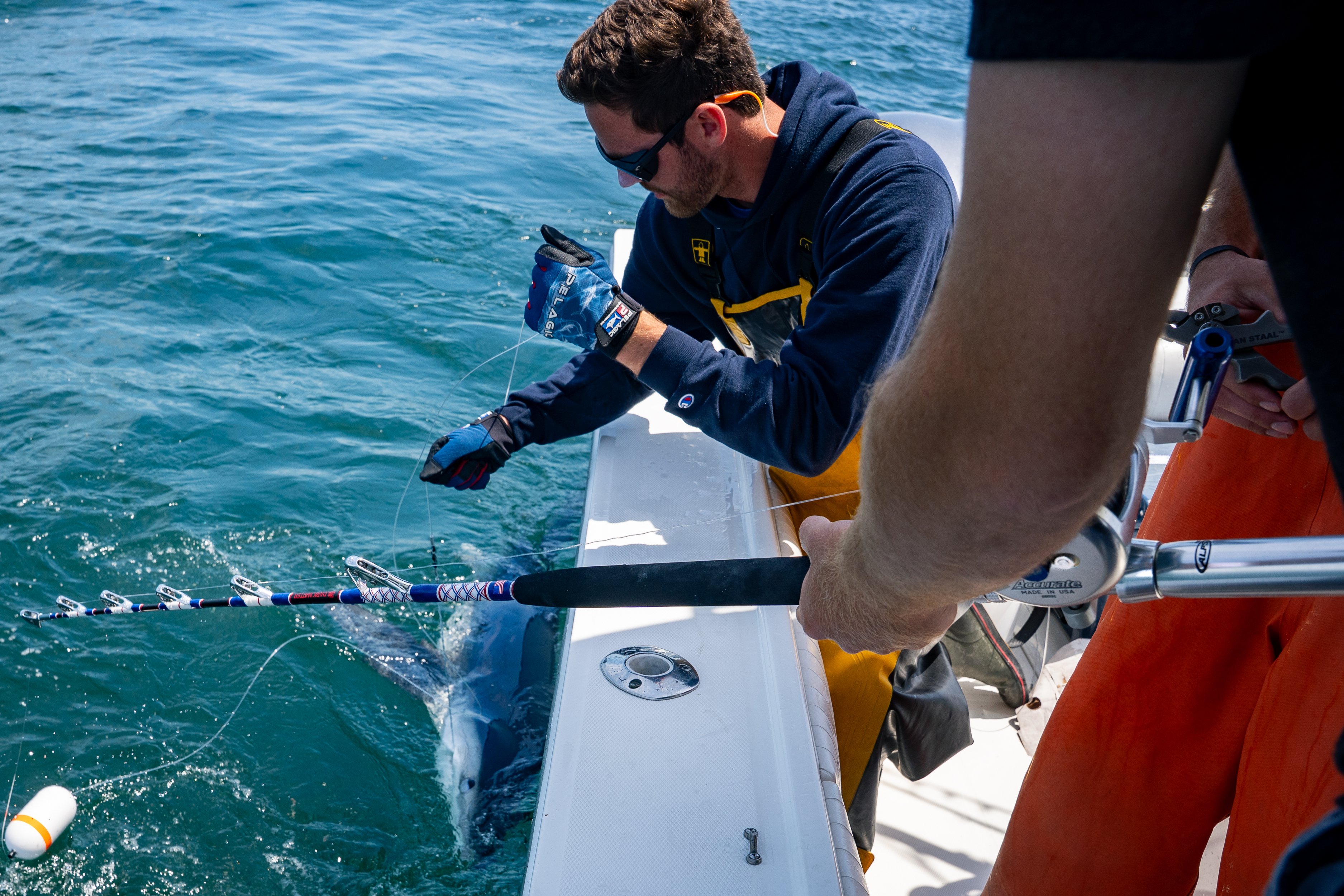 Saltwater Fishing Rods,Freshwater Fishing Rods | Dark Matter